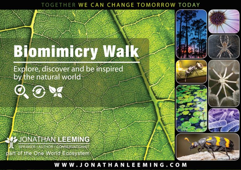 Jonathan Leeming's One World