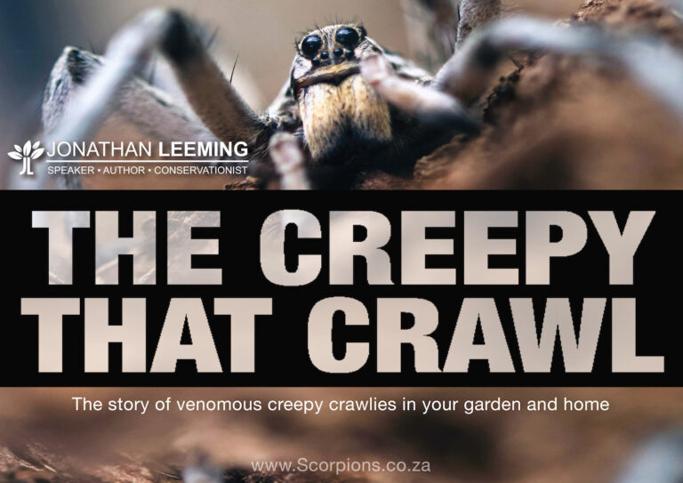 Jonathan Leeming's One World