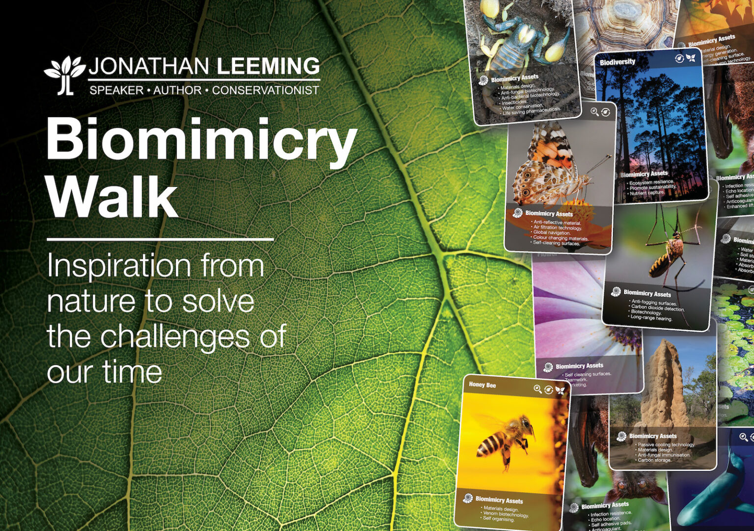 Biomimicry Walk with Jonathan Leeming