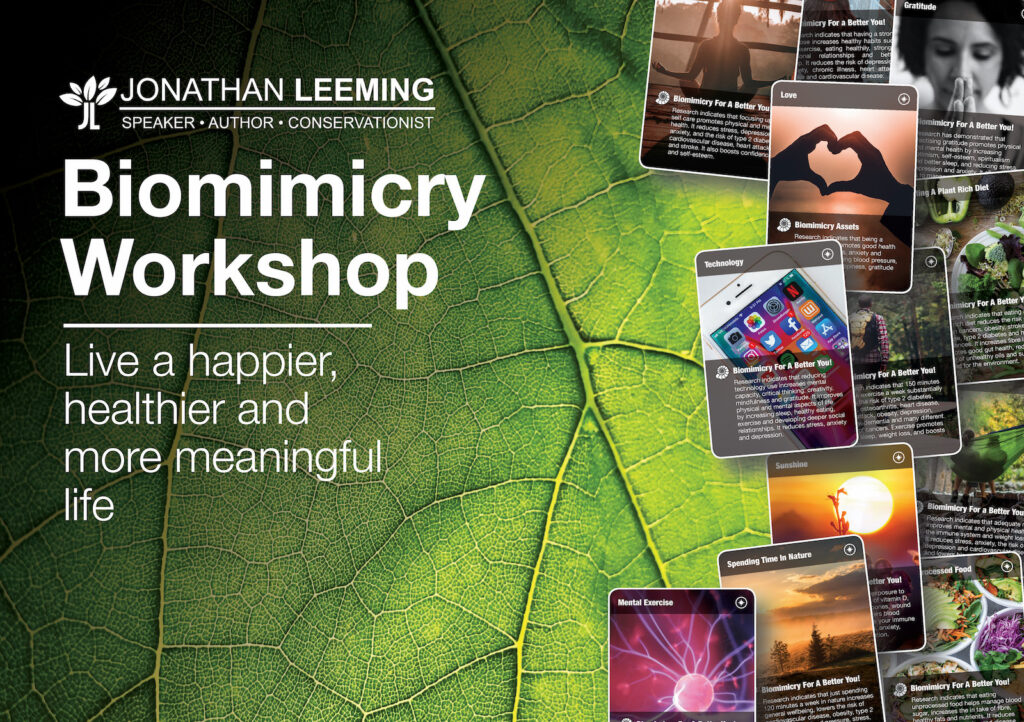 Jonathan Leeming's One World